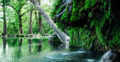 Top 5 Hot Springs in Texas - Guide to the Best Texas Hot Springs